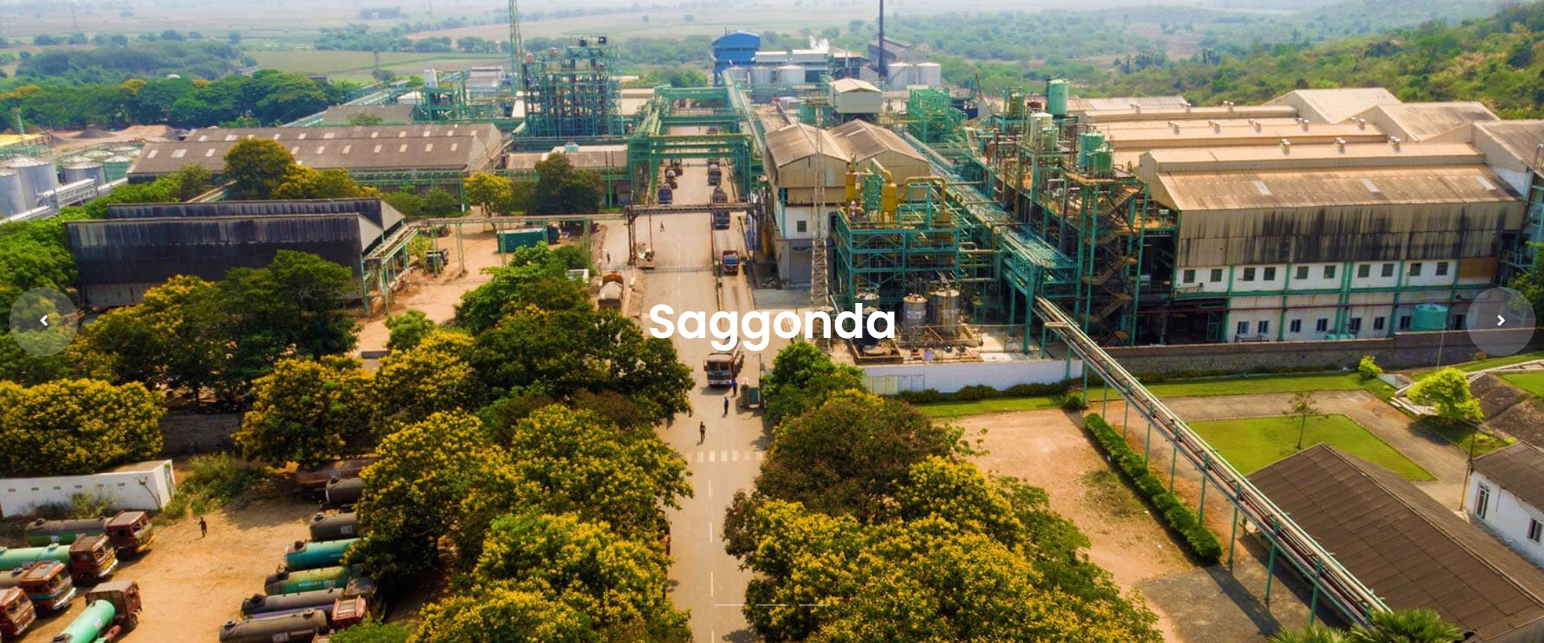 Andhra Sugars Ltd